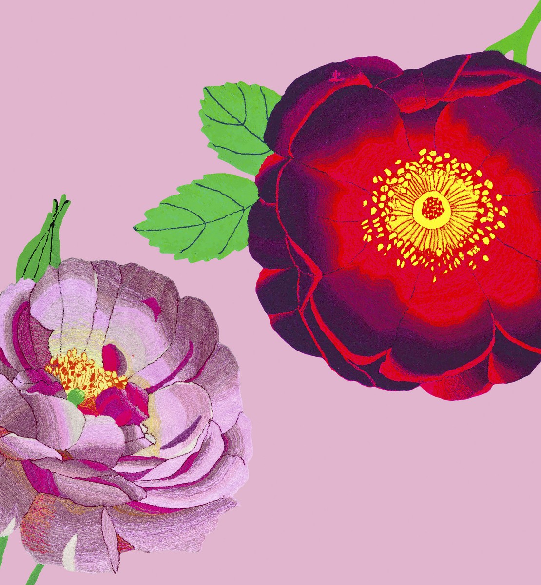 Susanna Taras – Blumen, Flowers, Fleurs | KölnDesign e.V.